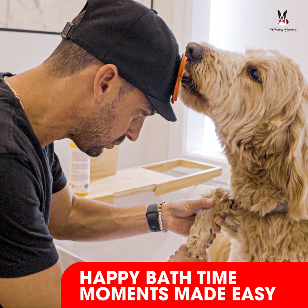 Distract-A-Hat – Warren London