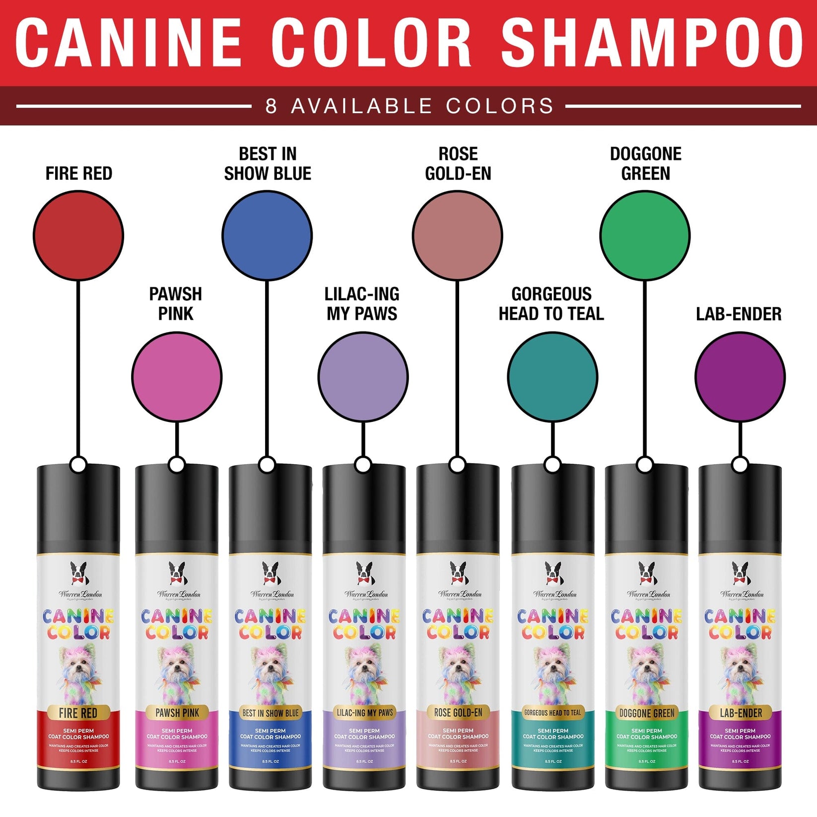 Canine Color Semi Perm Coat Color Shampoo for Dogs – Warren London