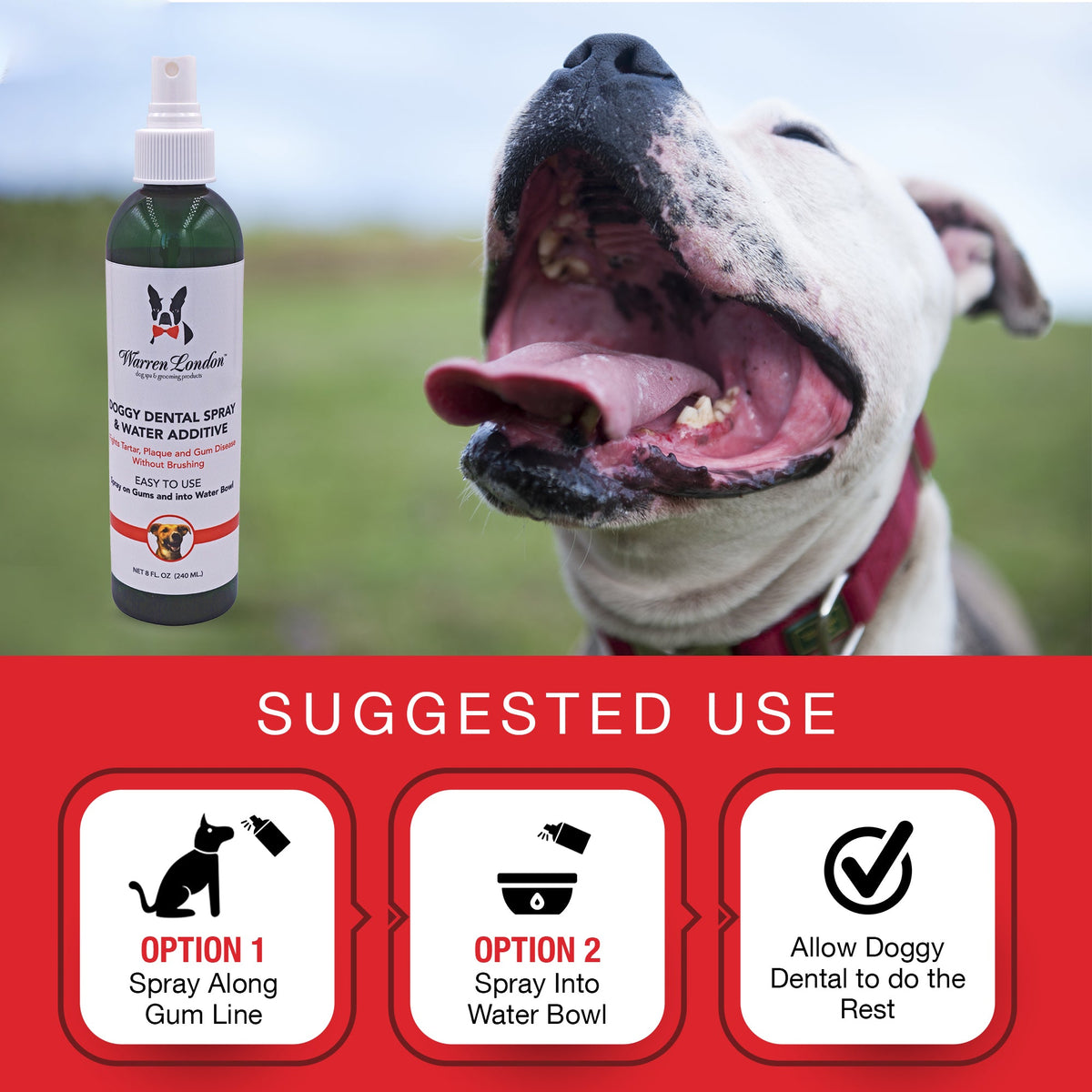 Doggy Dental Spray & Water Additive – Warren London