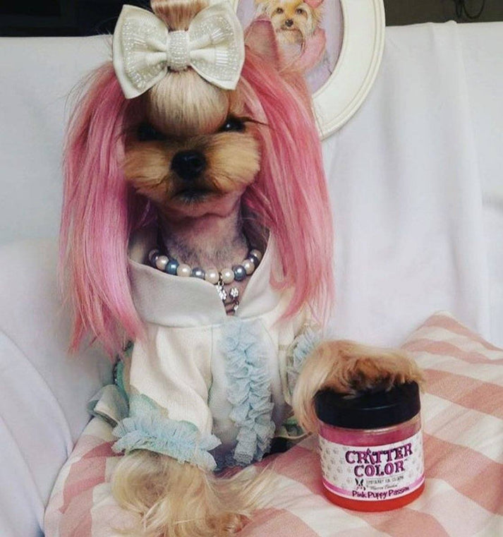 Critter Color - Temporary Pet Fur Coloring/Dog Dye – Warren London