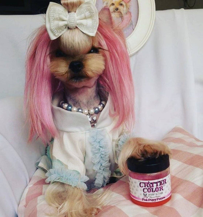 Critter Color - Temporary Pet Fur Coloring/Dog Dye – Warren London