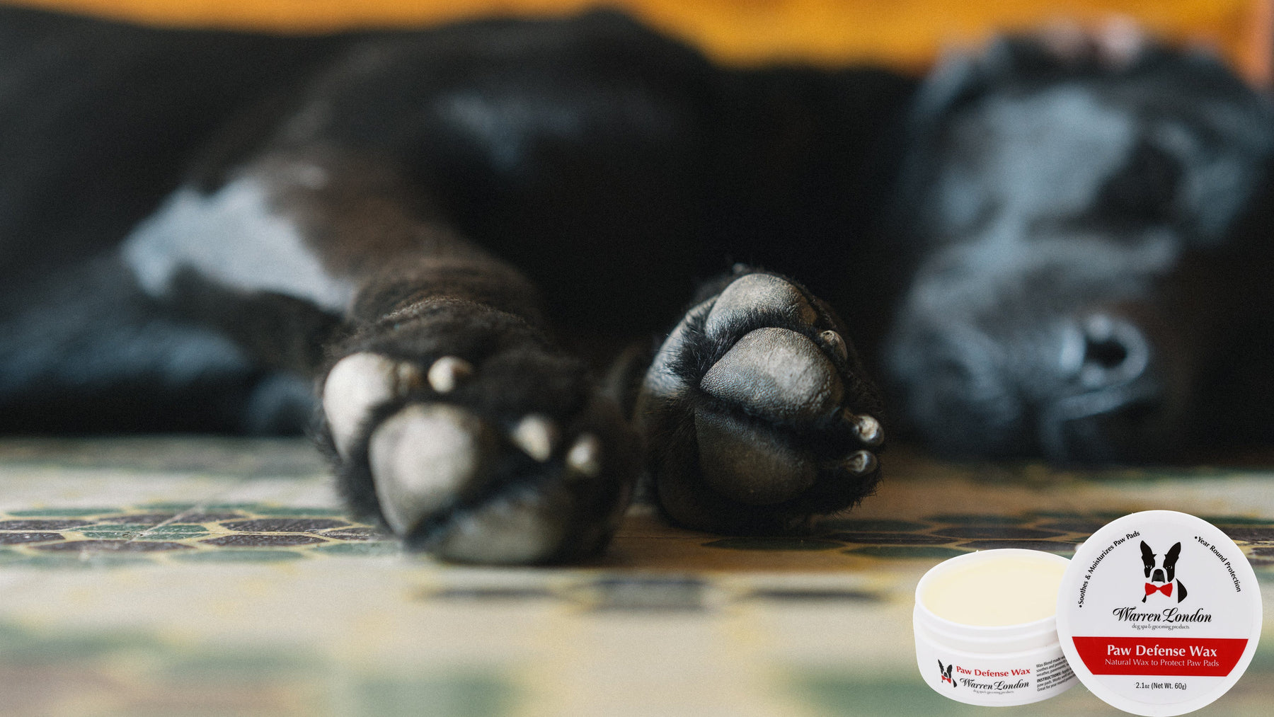 Paw Defense Wax - Soothes, Moisturizes and Protects Dog's Paw Pads ...